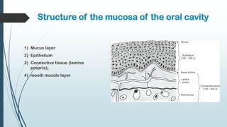 Mucosal-Drug-Delivery-system.pdf