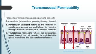 Mucosal-Drug-Delivery-system.pdf
