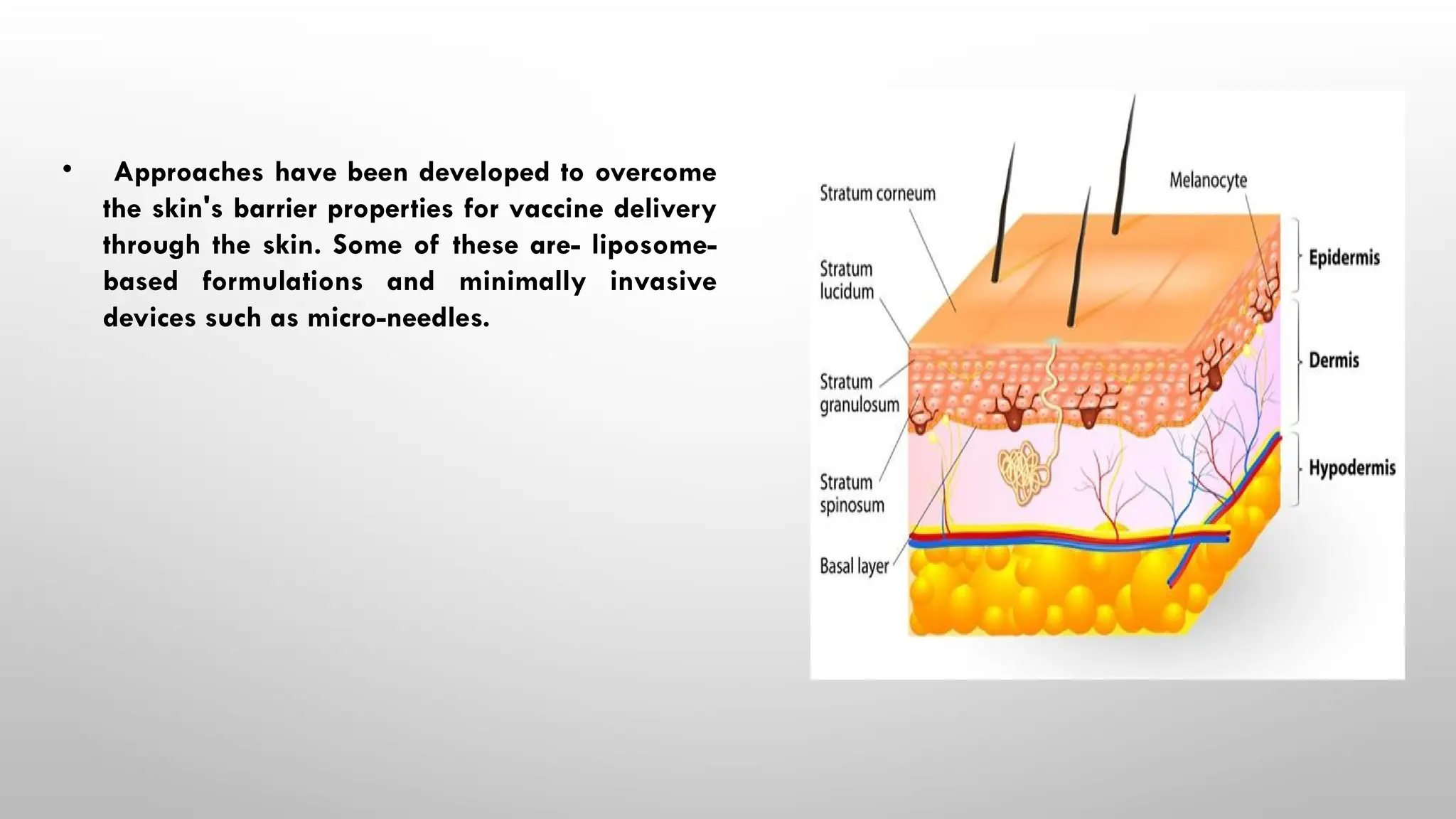 mucosal and transdermal delivery of vaccine.pptx