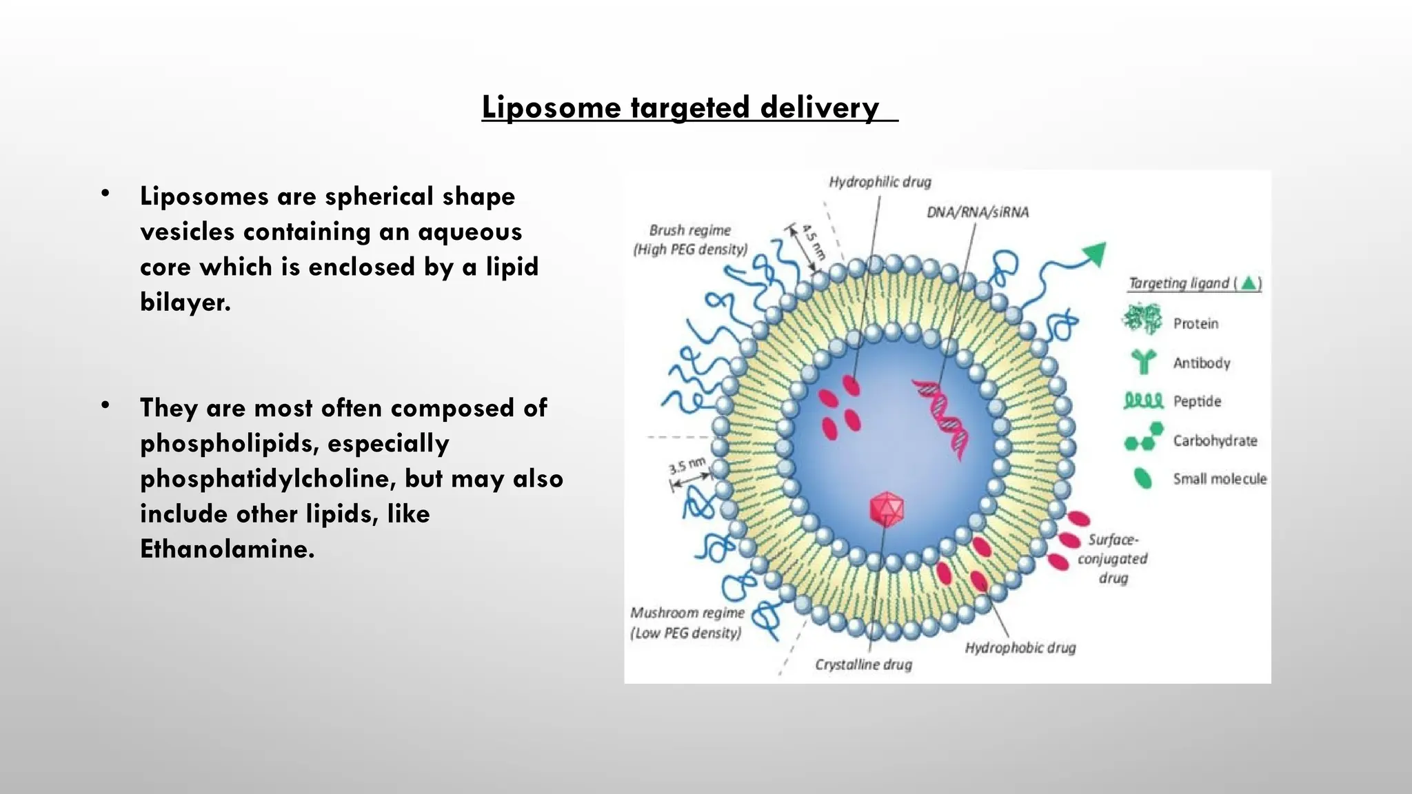 mucosal and transdermal delivery of vaccine.pptx