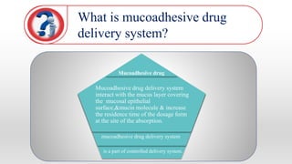 Mucosal dds for gastrointestinal delivery | PPTX | Digestive Disorders ...