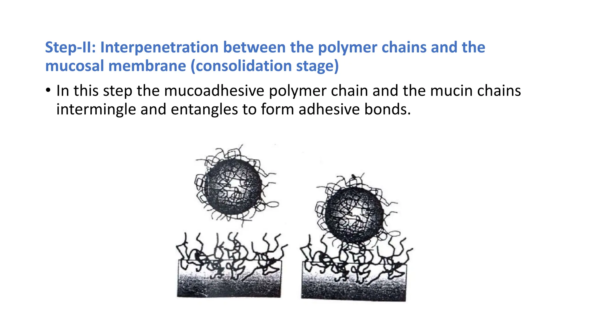 Introduction to Mucosal Drug Delivery Systems | PPTX