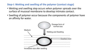 Introduction to Mucosal Drug Delivery Systems | PPTX