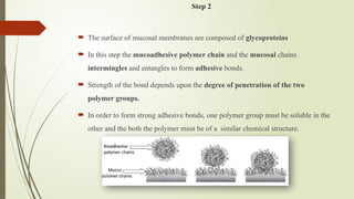 Mucoadhesive drug delivery system1.pptx
