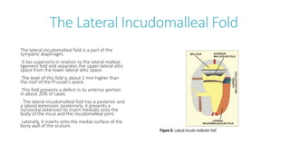 mucosal folds.pptx