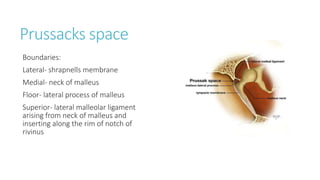 mucosal folds.pptx