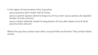 mucosal folds.pptx
