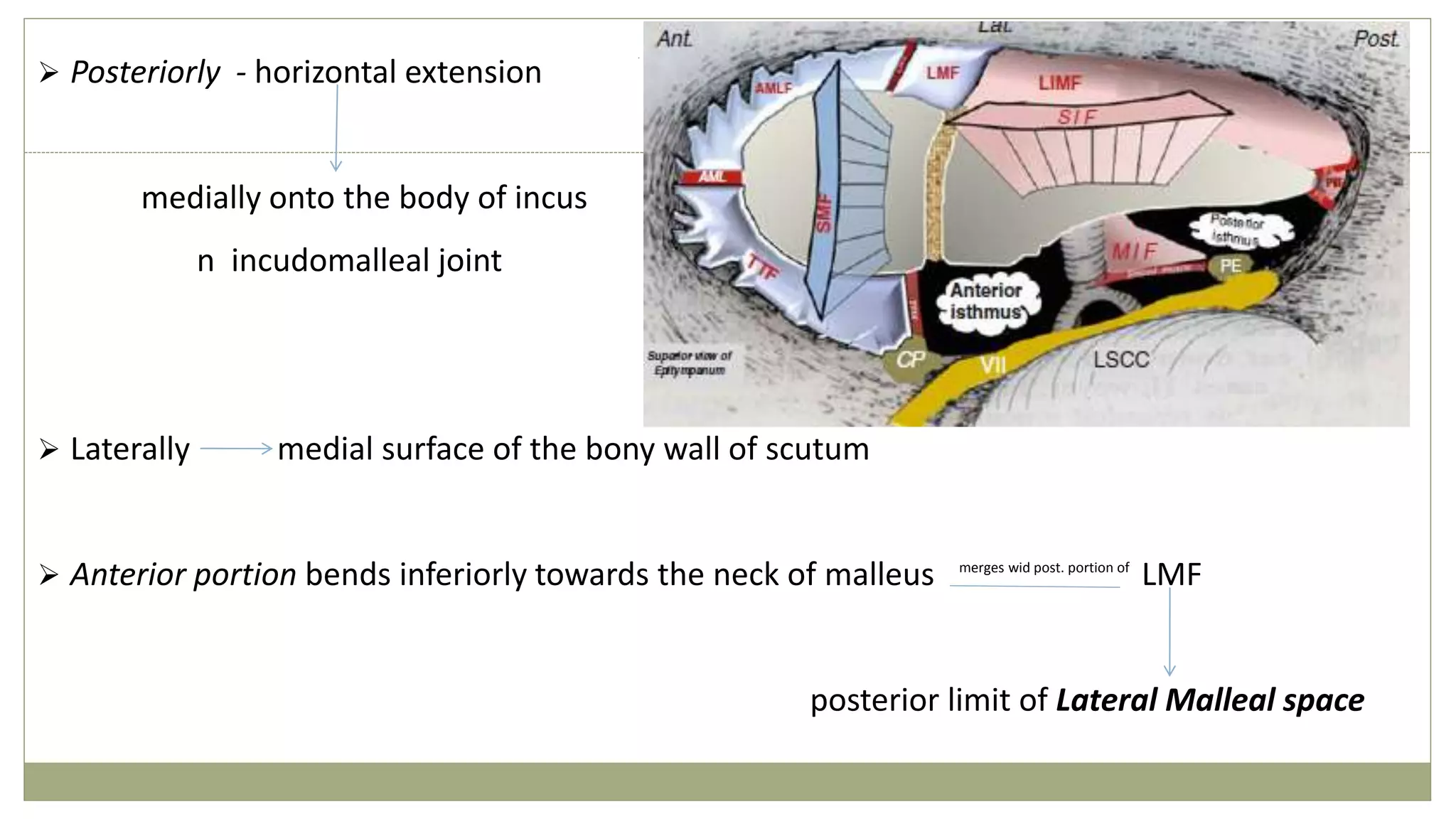 Mucosal folds and ventilation of middle ear | PPTX