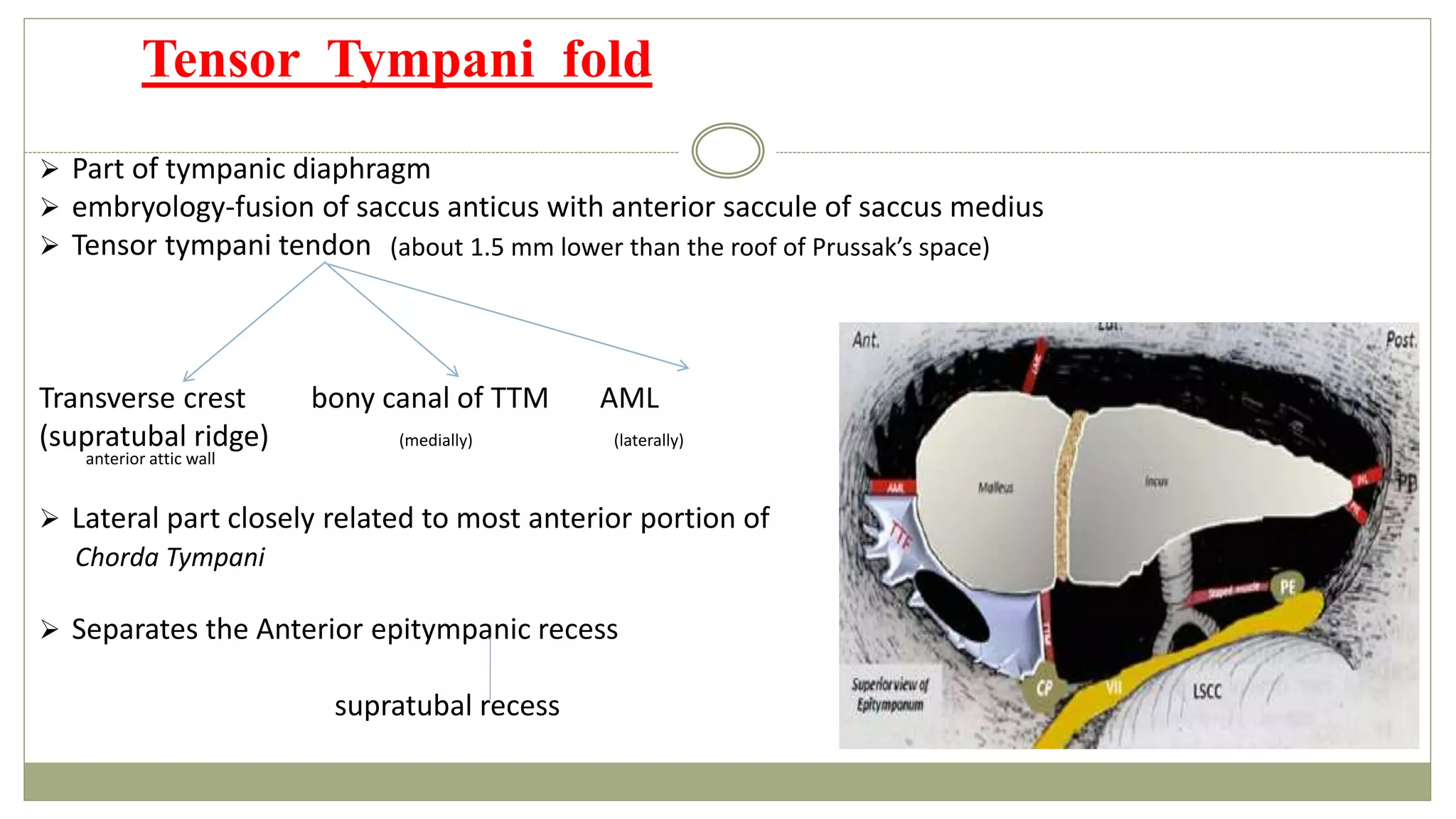 Mucosal folds and ventilation of middle ear | PPTX