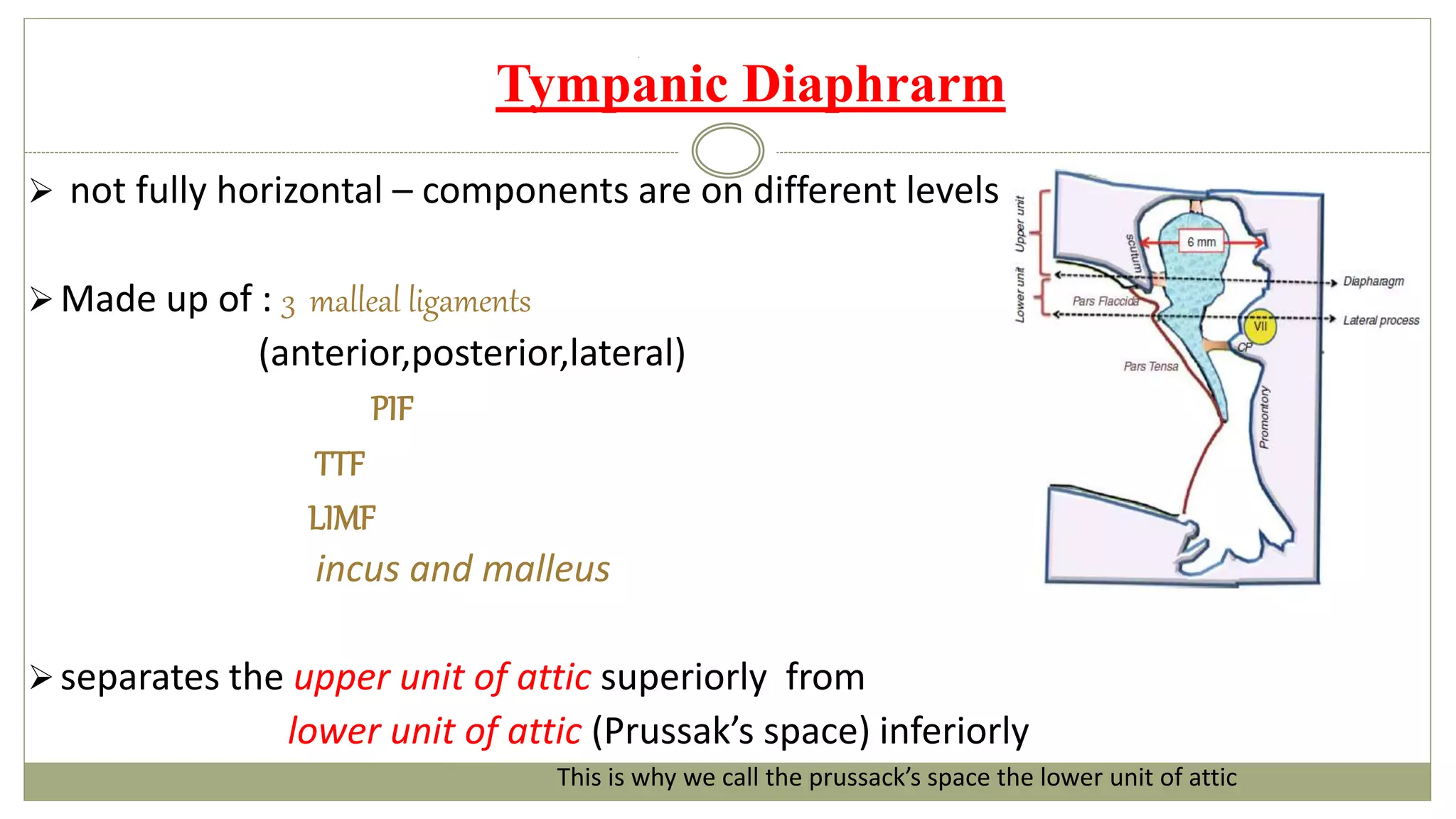 Mucosal folds and ventilation of middle ear | PPTX