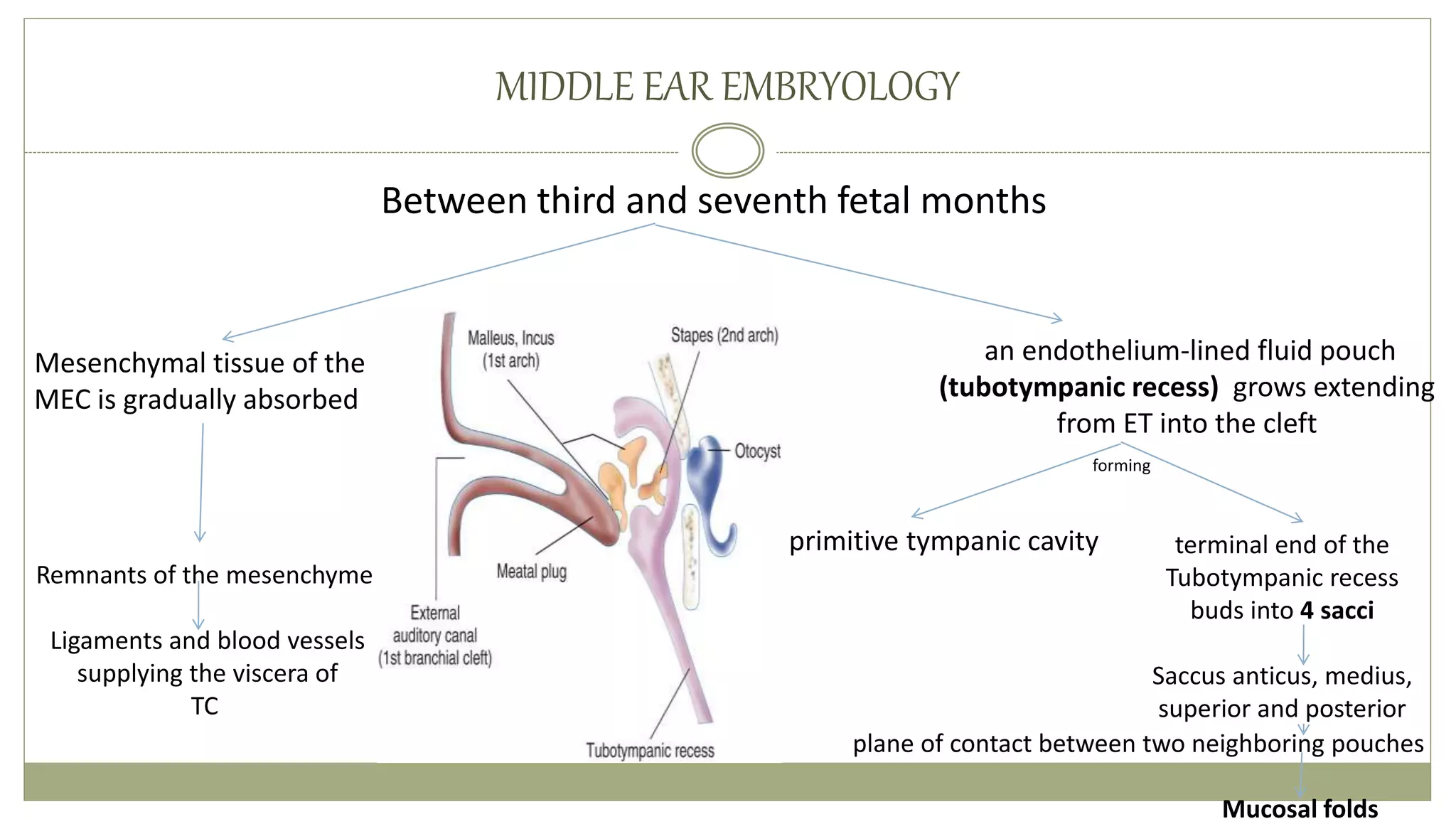 Mucosal folds and ventilation of middle ear | PPTX