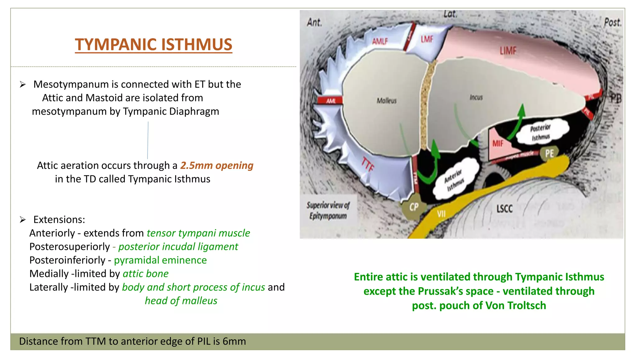 Mucosal folds and ventilation of middle ear | PPTX