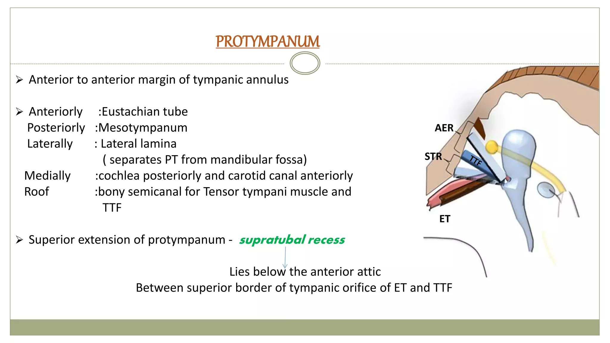 Mucosal folds and ventilation of middle ear | PPTX