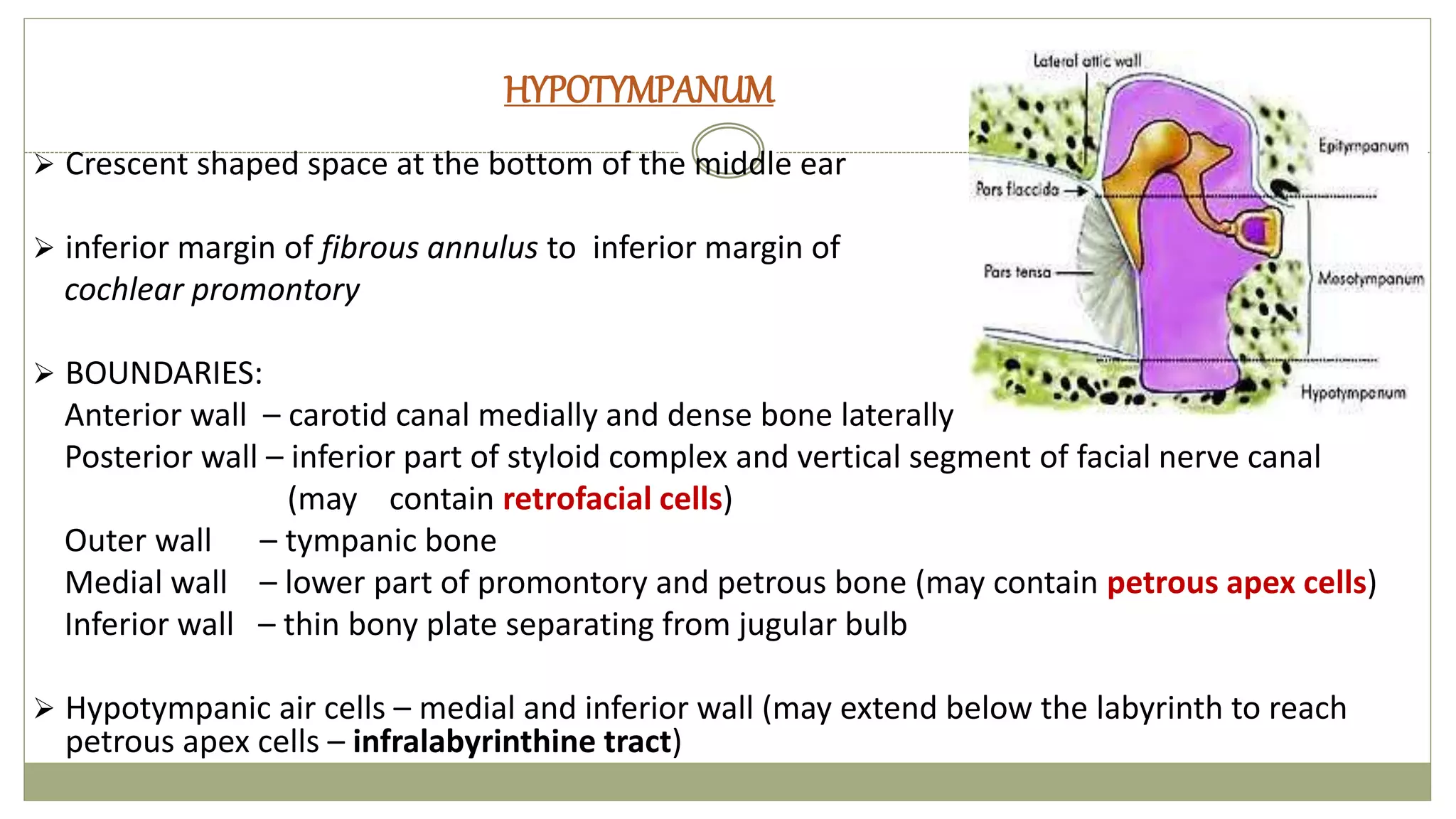 Mucosal folds and ventilation of middle ear | PPTX