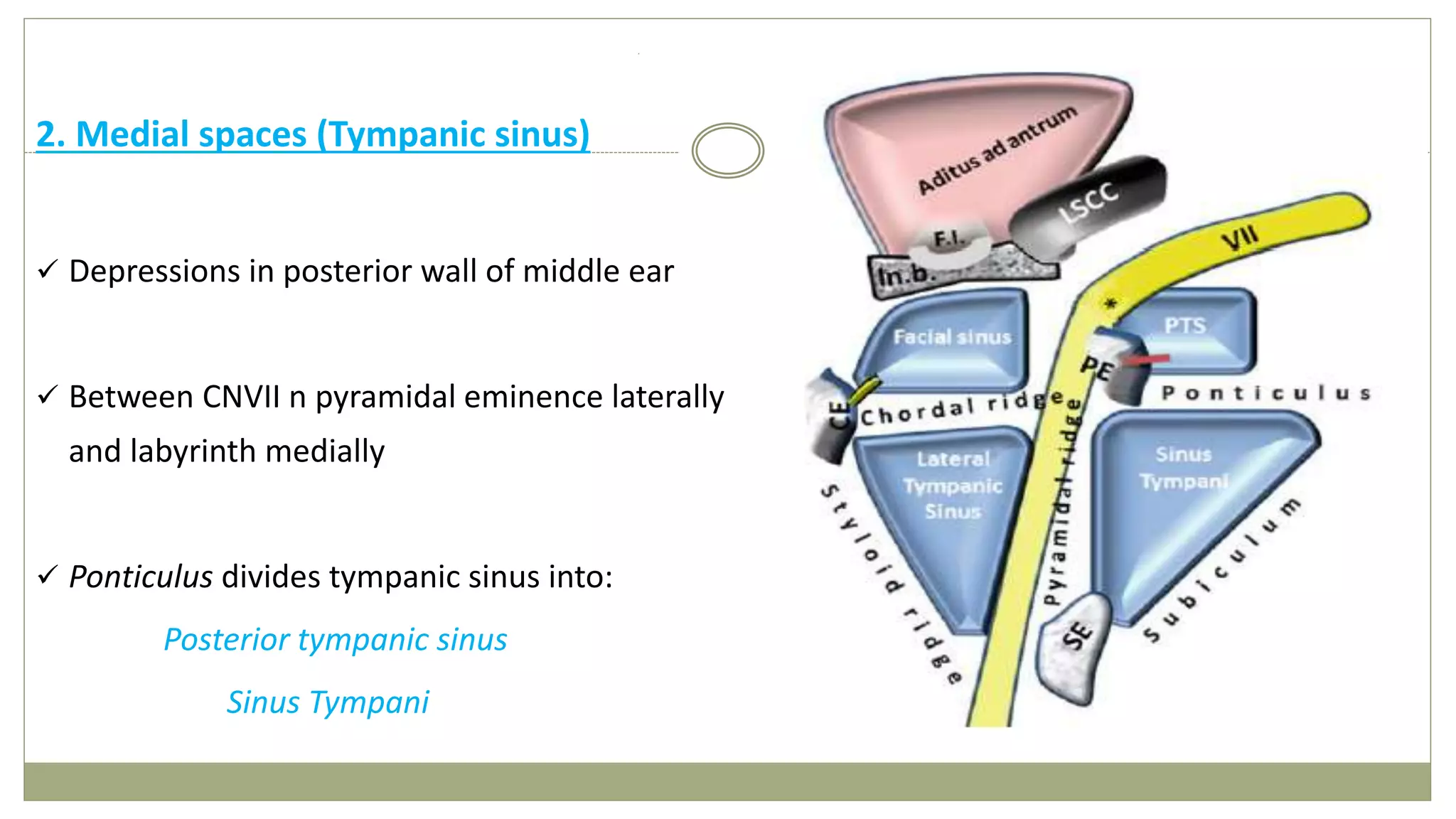 Mucosal folds and ventilation of middle ear | PPTX