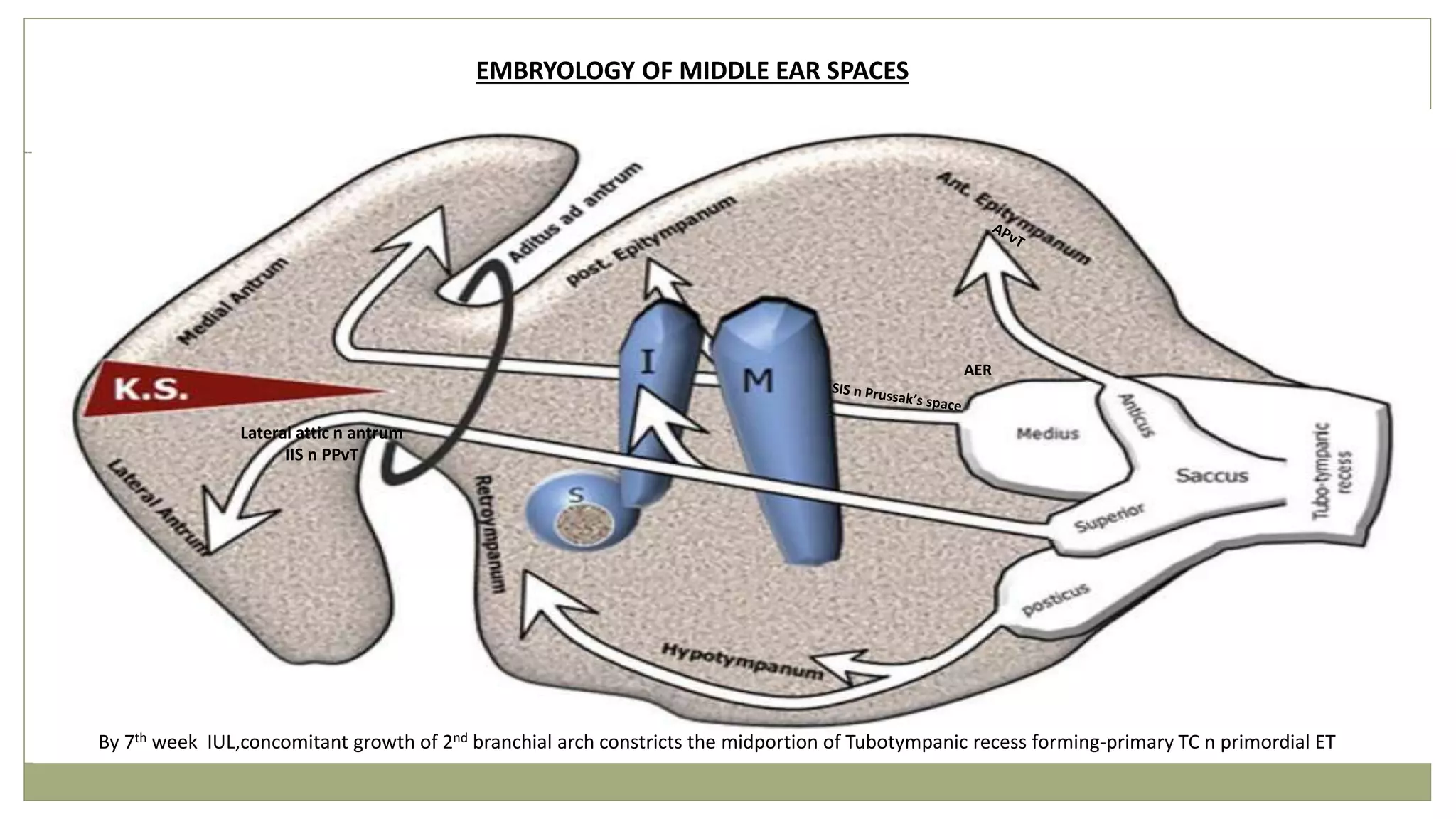 Mucosal folds and ventilation of middle ear | PPTX