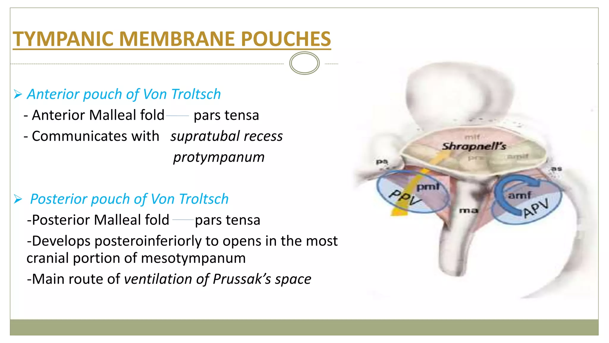 Mucosal folds and ventilation of middle ear | PPTX