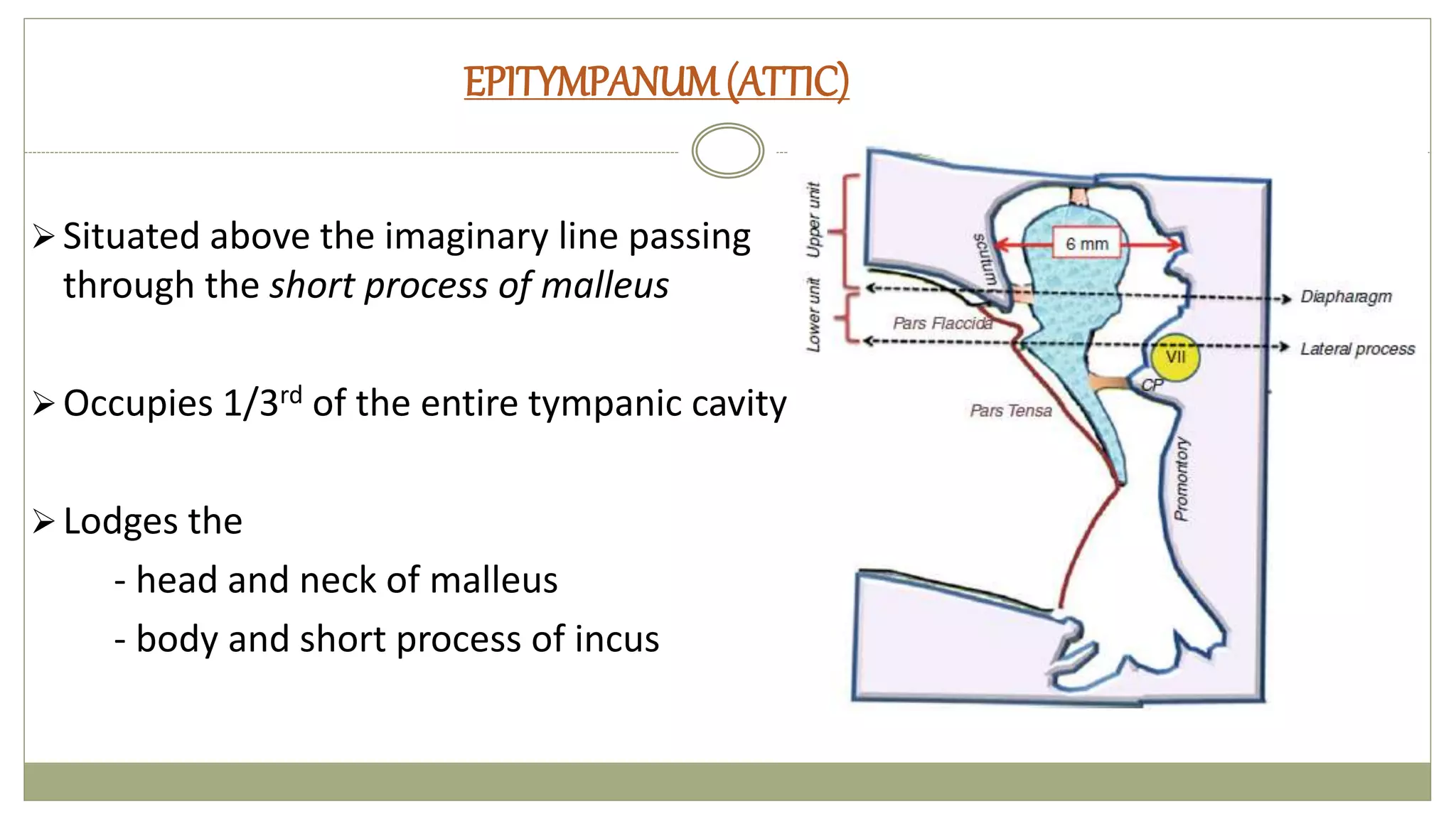 Mucosal folds and ventilation of middle ear | PPTX