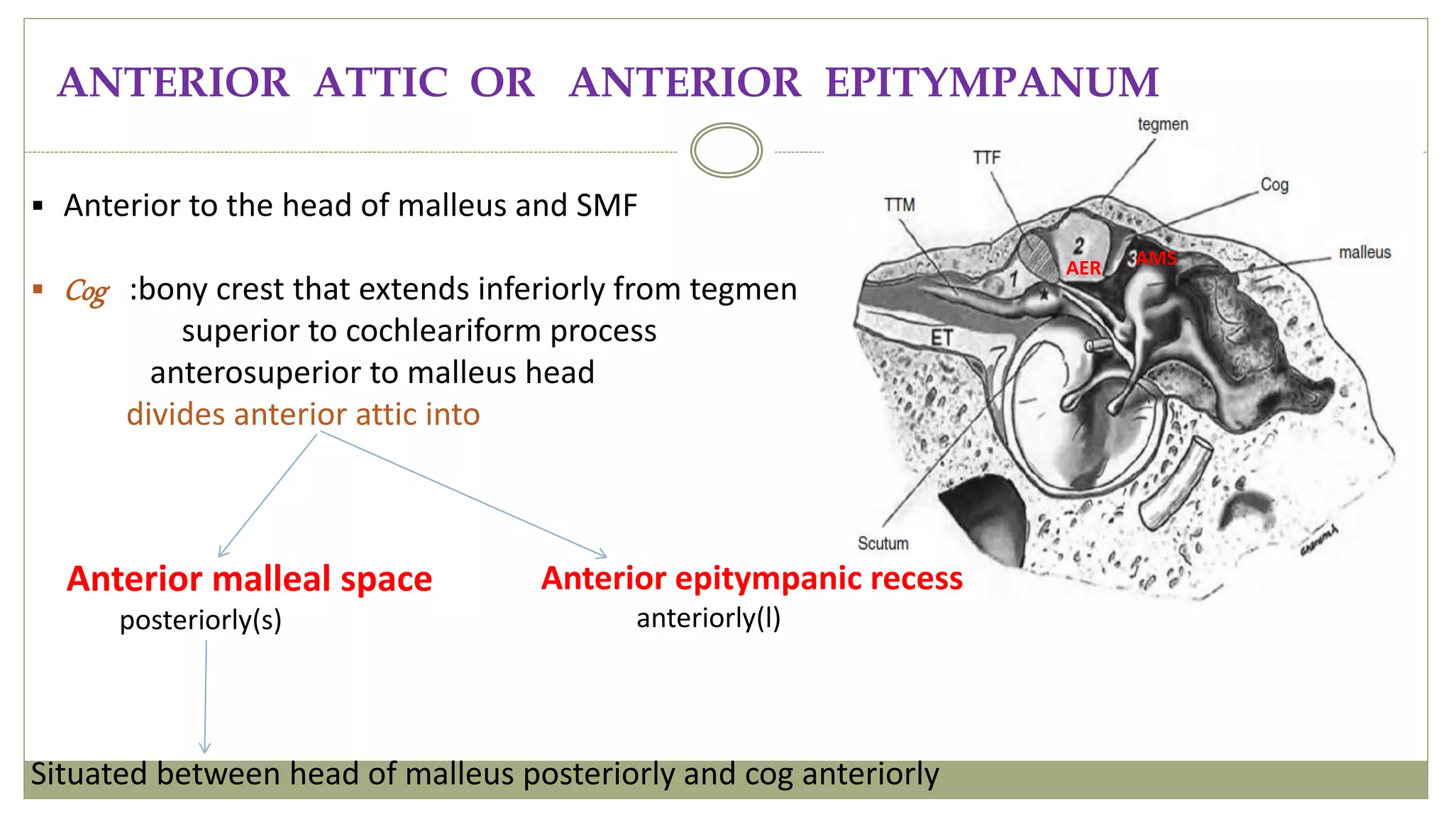 Mucosal folds and ventilation of middle ear | PPTX
