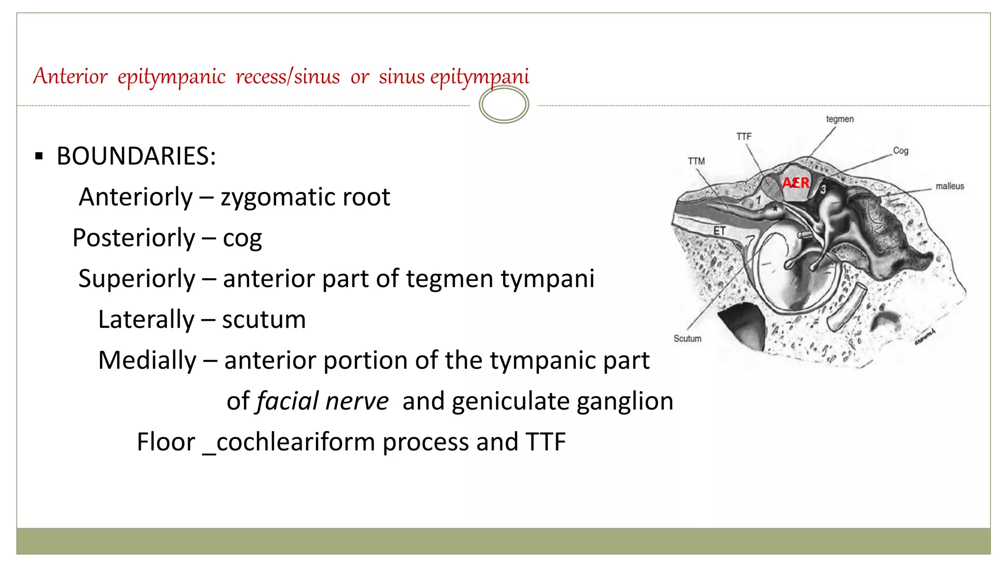 Mucosal folds and ventilation of middle ear | PPTX