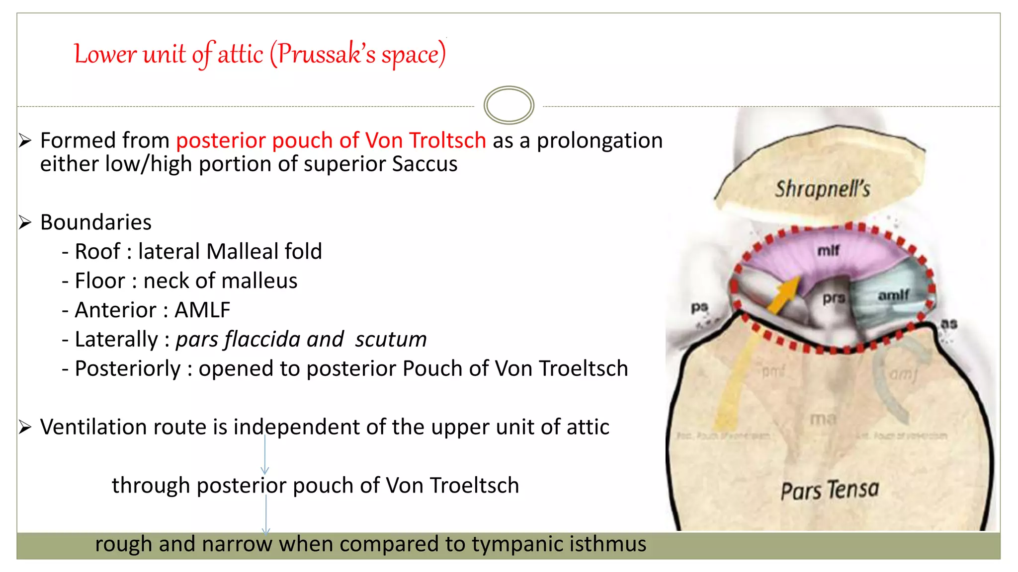 Mucosal folds and ventilation of middle ear | PPTX