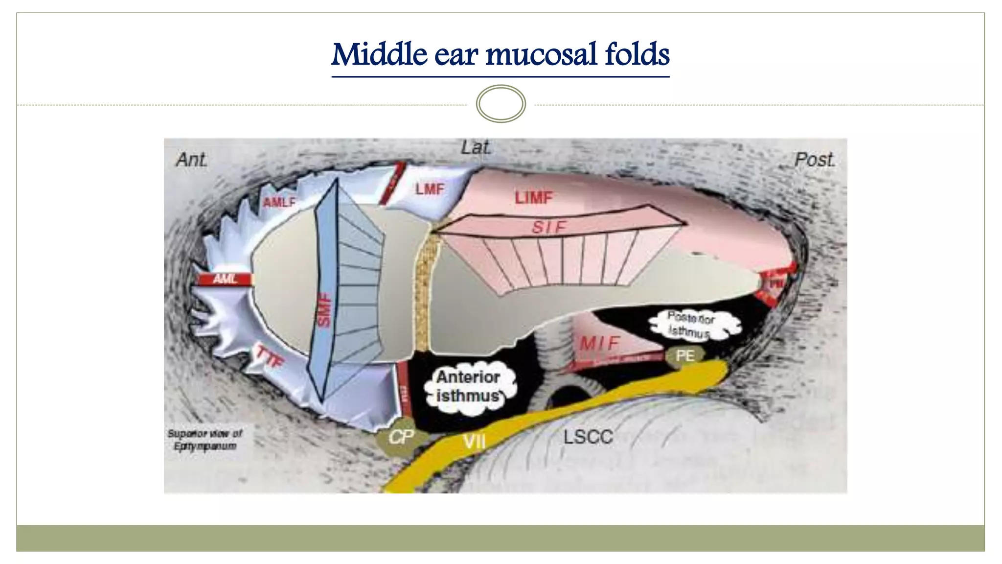 Mucosal folds and ventilation of middle ear | PPTX