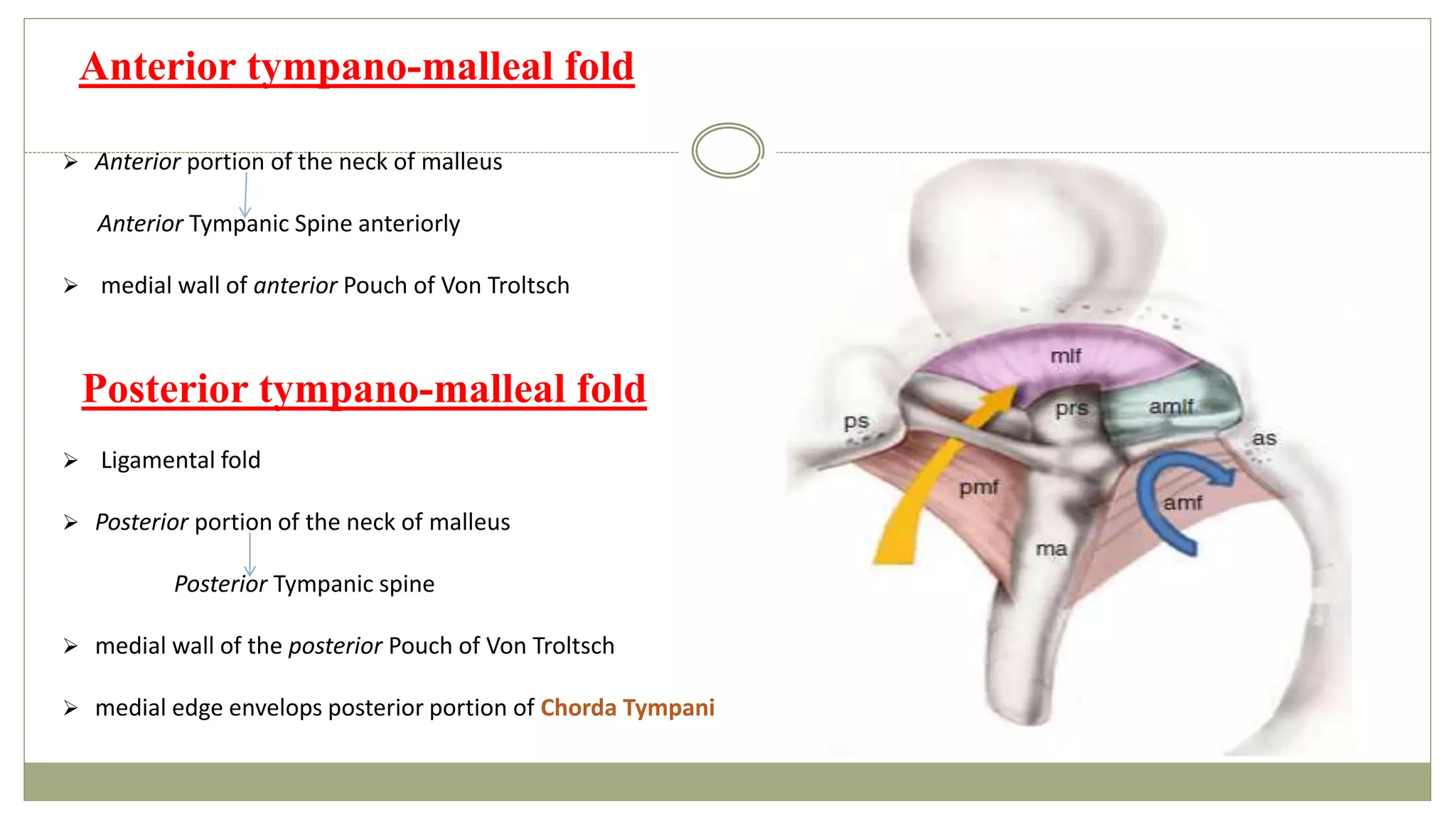 Mucosal folds and ventilation of middle ear | PPTX
