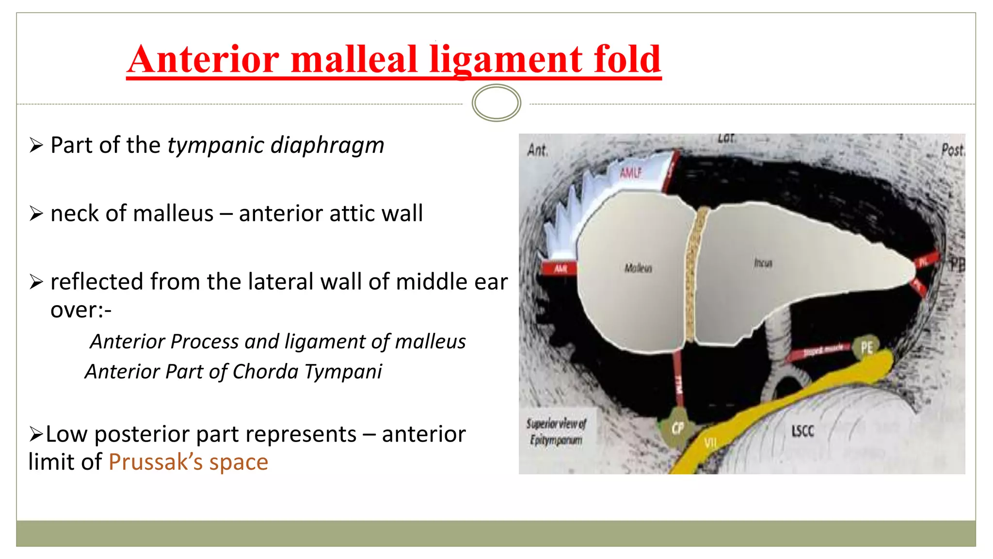 Mucosal folds and ventilation of middle ear | PPTX