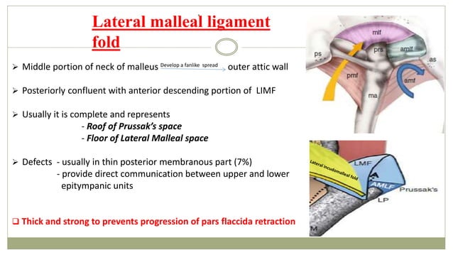 Mucosal folds and ventilation of middle ear | PPTX