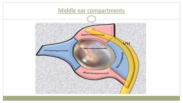 Mucosal folds and ventilation of middle ear | PPTX
