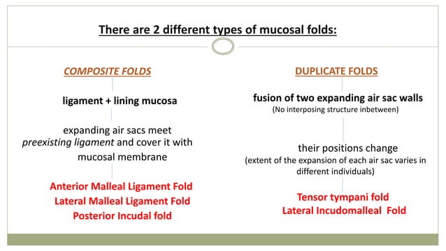Mucosal folds and ventilation of middle ear | PPTX