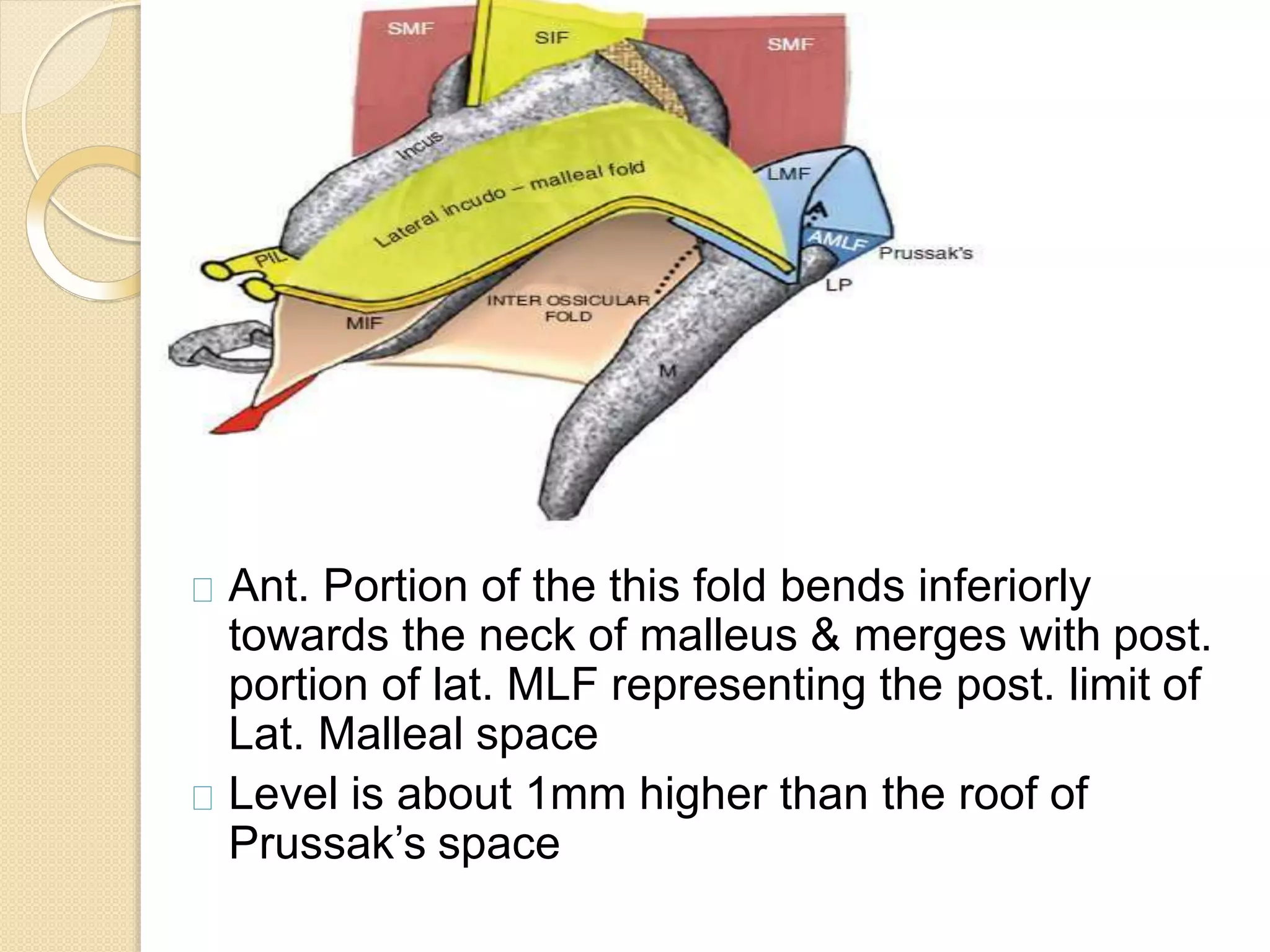 Mucosal folds of Middle Ear.pptx