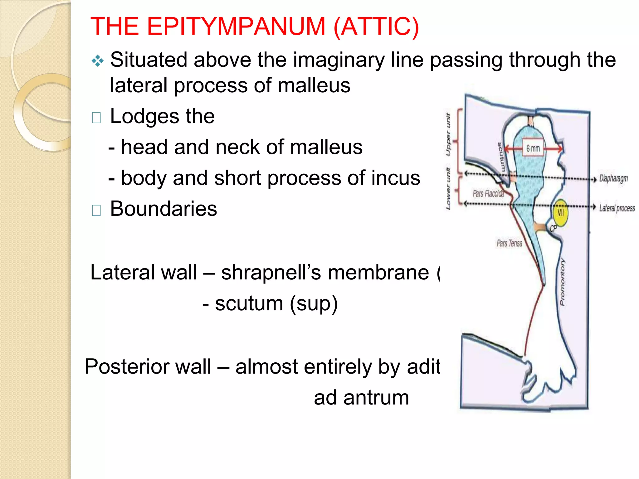 Mucosal folds of Middle Ear.pptx