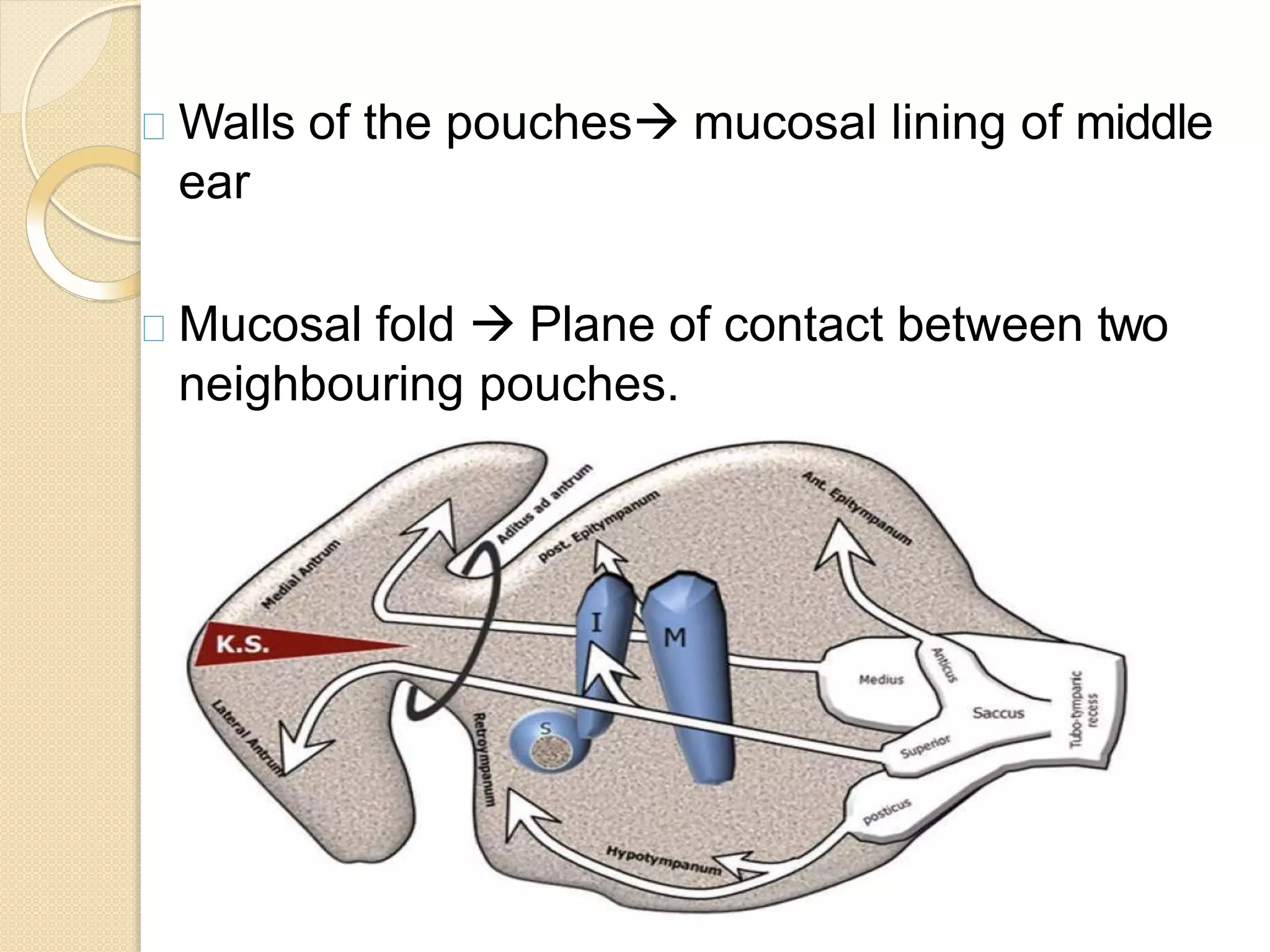Mucosal folds of Middle Ear.pptx