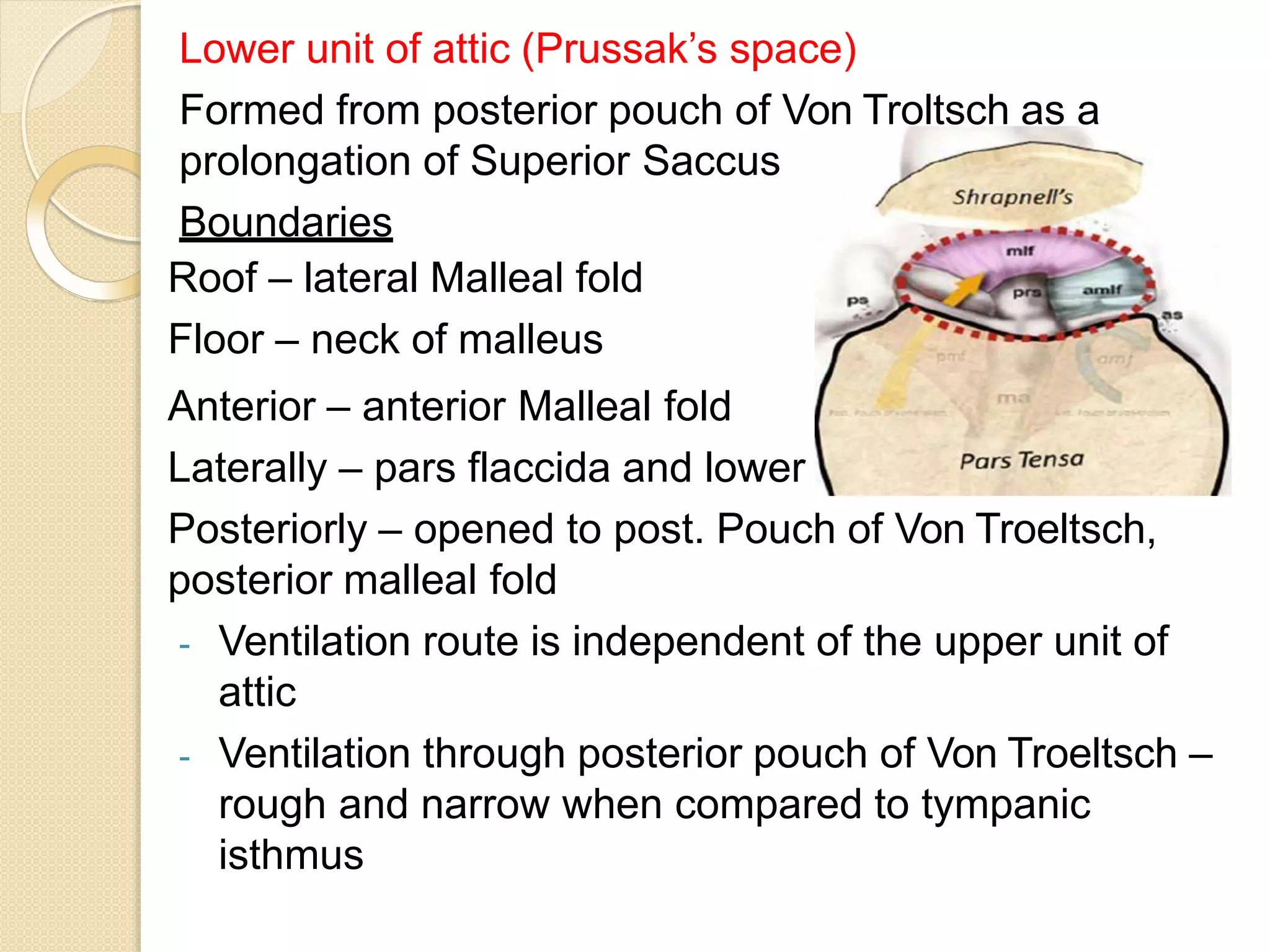 Mucosal Folds Of Middle Ear pptx Mucosal Folds Of Middle Ear pptx