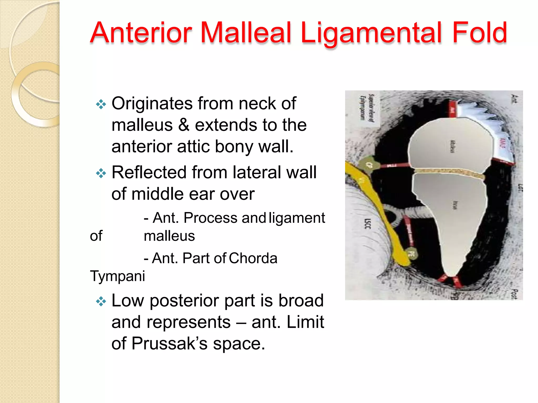 Mucosal folds of Middle Ear.pptx
