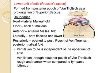 Mucosal folds of Middle Ear.pptx