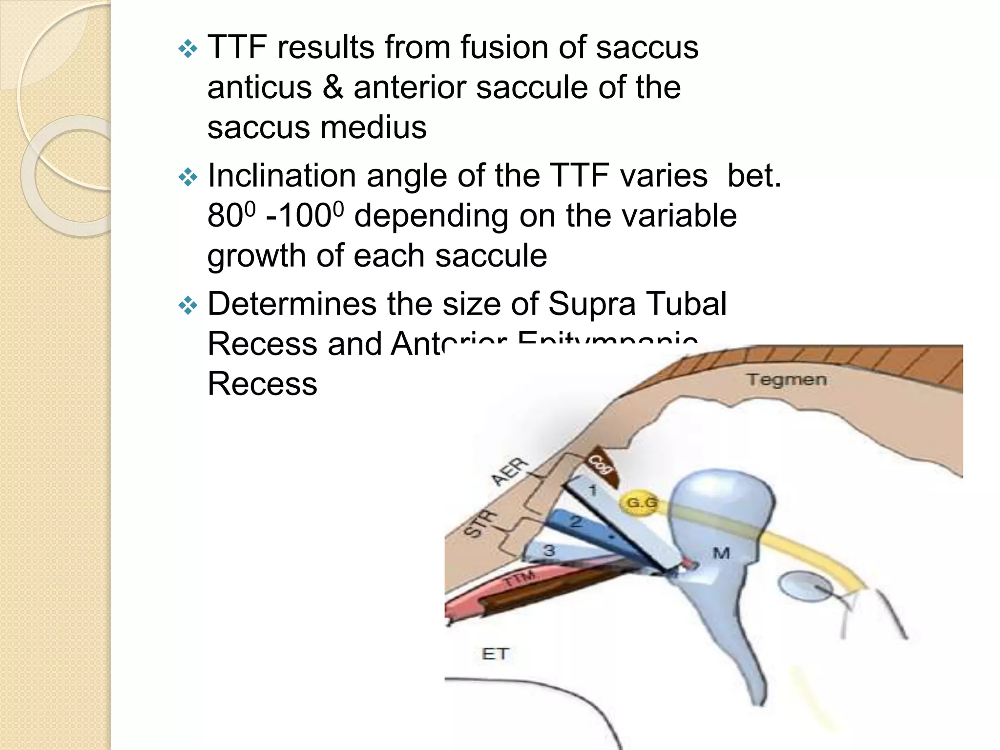 Mucosal folds of the middle ear | PPTX