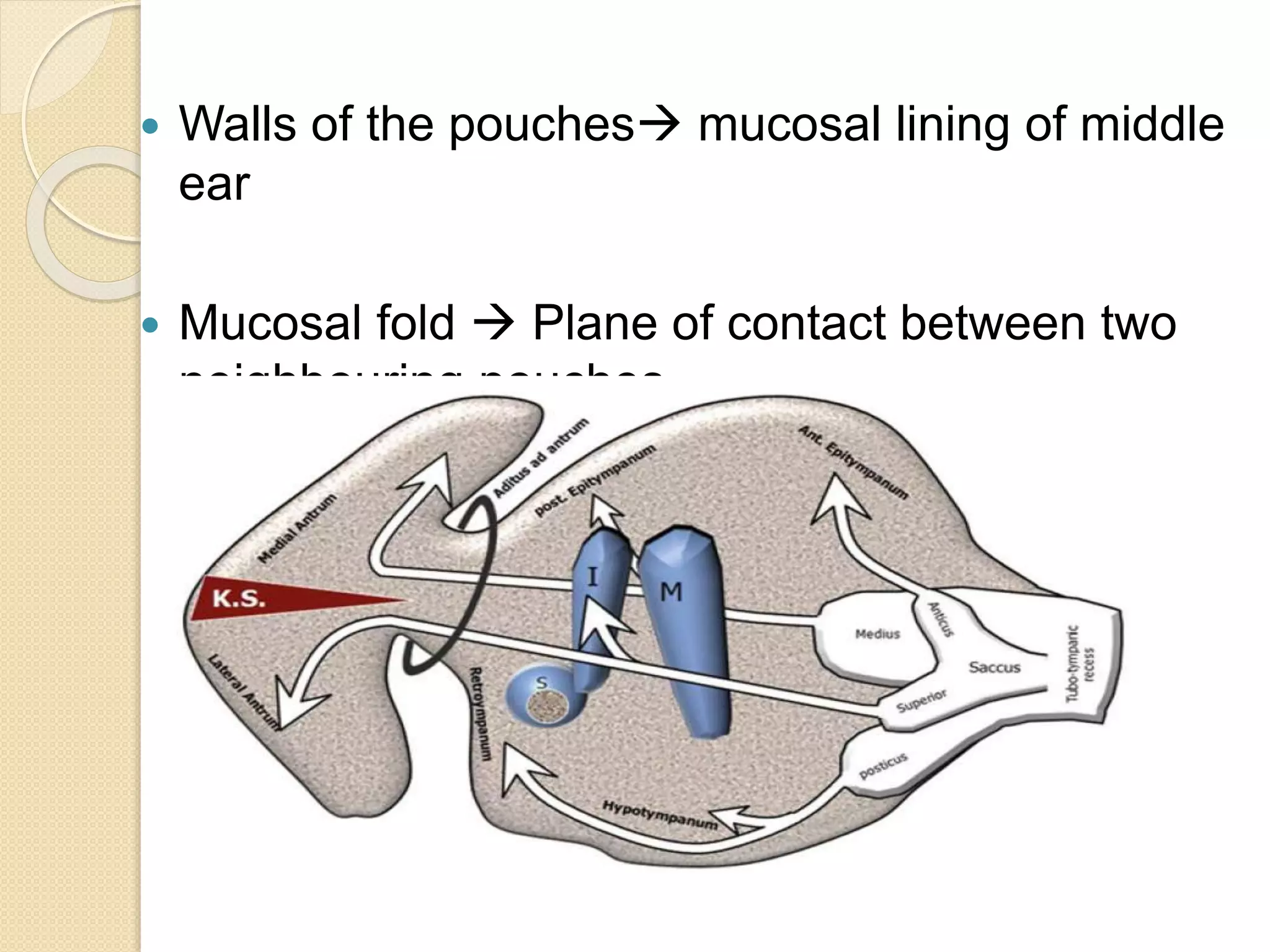 Mucosal folds of the middle ear | PPTX