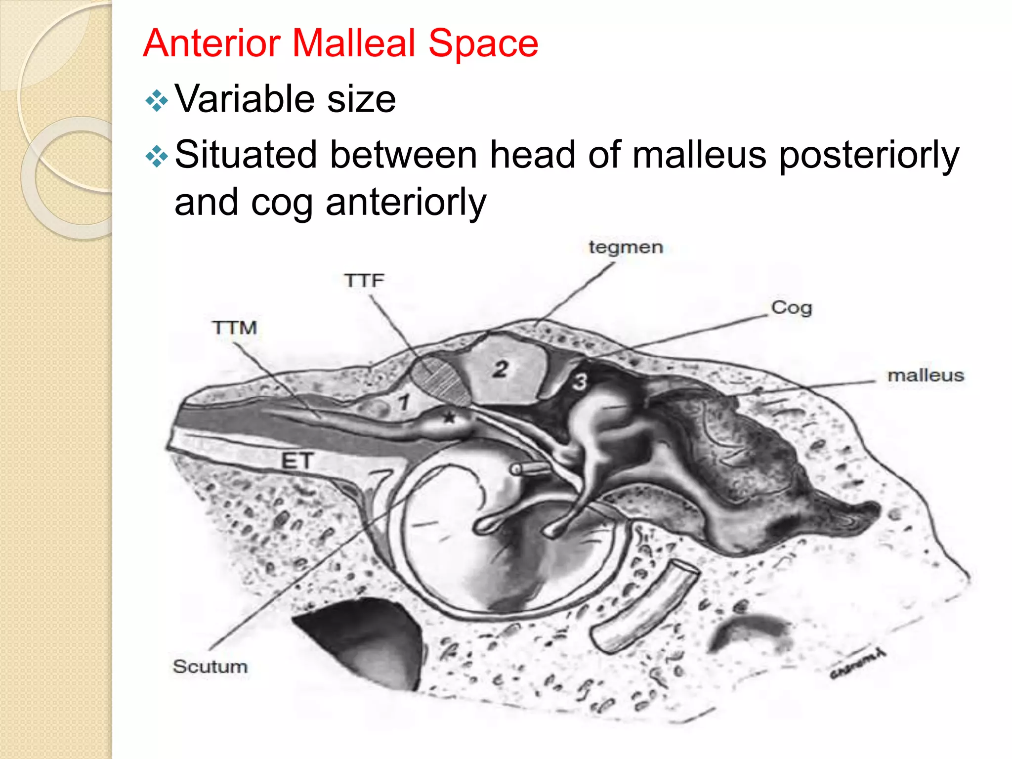 Mucosal folds of the middle ear | PPTX
