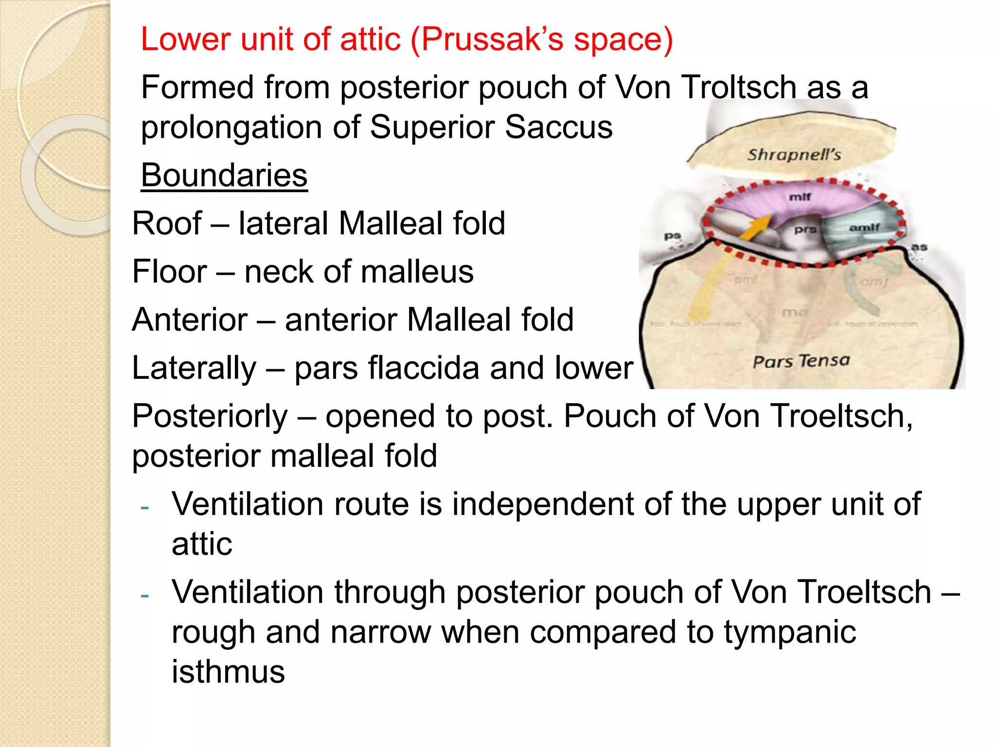 Mucosal folds of the middle ear | PPTX