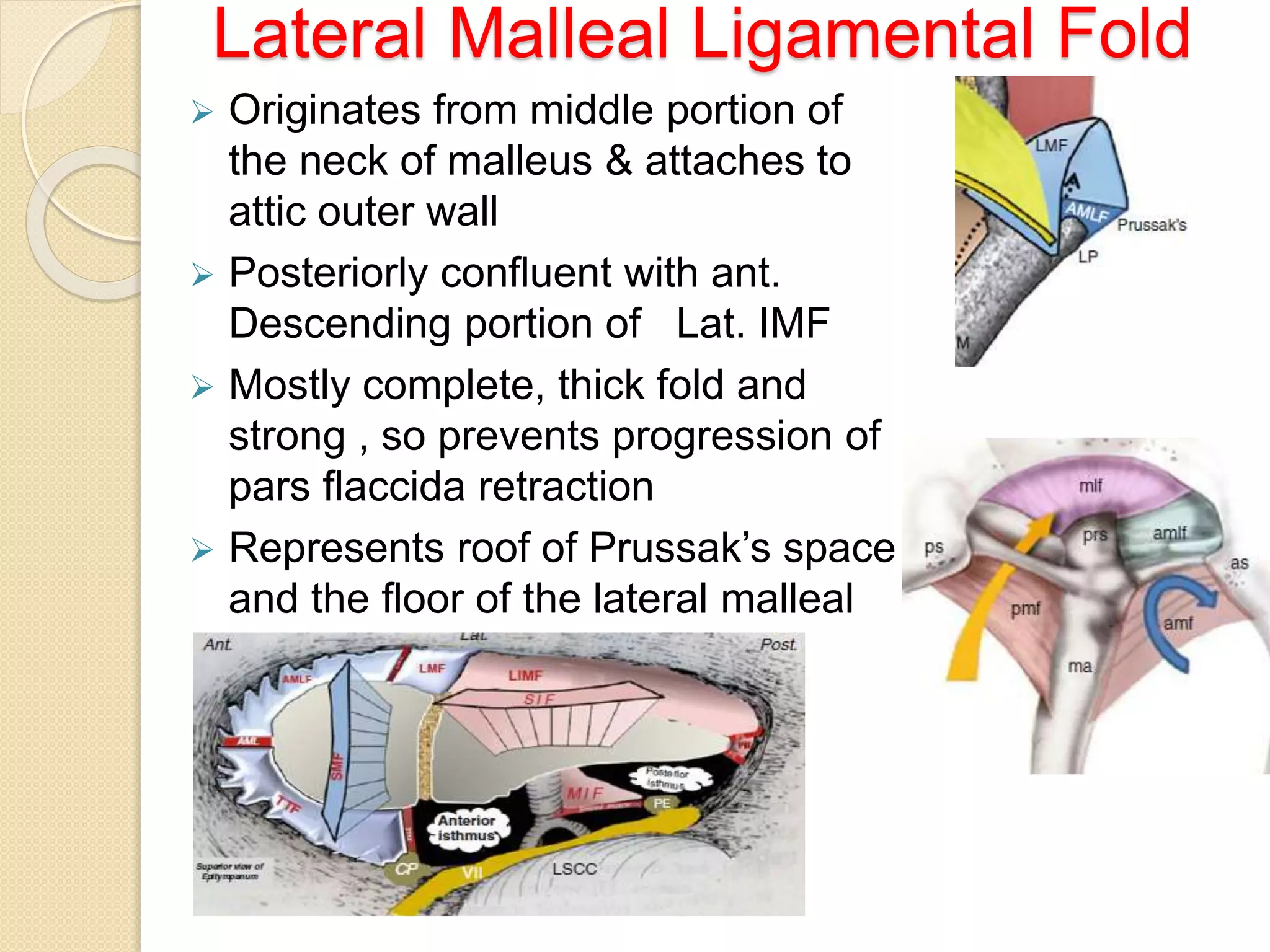 Mucosal folds of the middle ear | PPTX