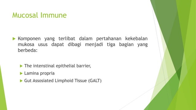 Mucosal immune system of the gastrointestinal tract | PPTX