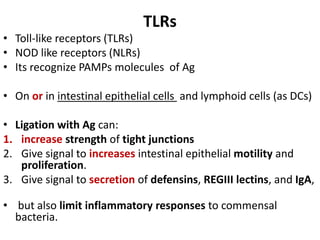 mucosal immunity.pptx
