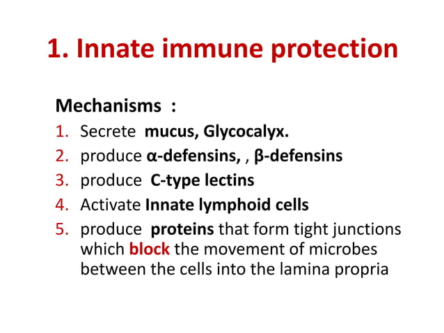 mucosal immunity.pptx