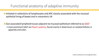 Mucosal immunity of GI tract.pptx | Biological Sciences | Science