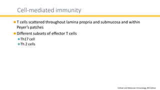 Mucosal immunity of GI tract.pptx | Biological Sciences | Science