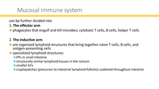 Mucosal immunity of GI tract.pptx