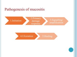 Mucositis Pathophysiology