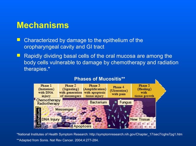 Mucositis oral | PPT